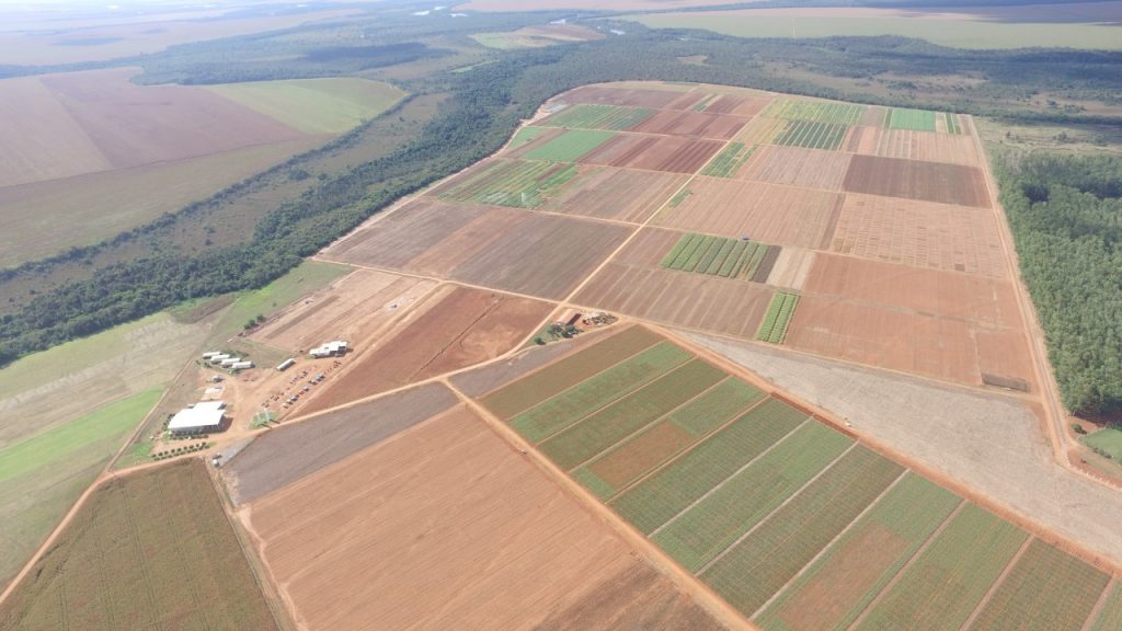 Subsurface Irrigation: Eco-Friendly & Cost-Effective for Smaller Fields