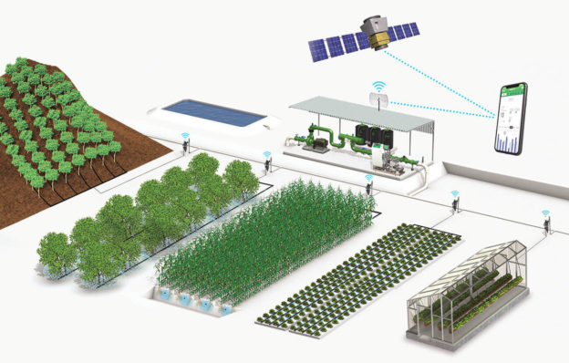 Maximize your Hazelnut yields with drip irrigation