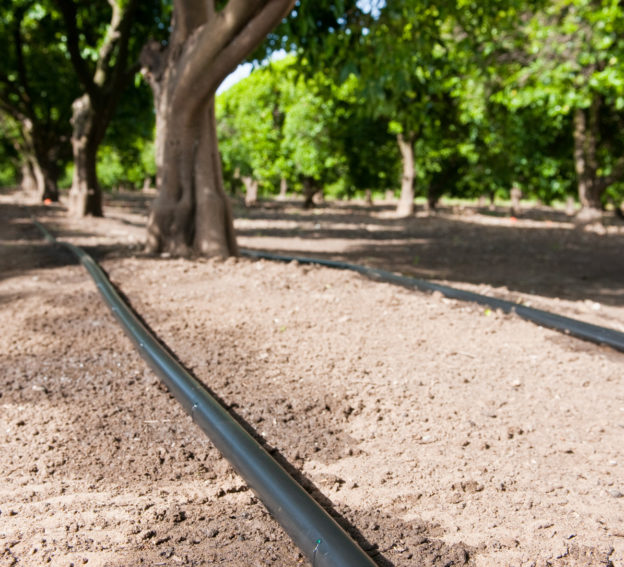 The 6 Key Considerations In Developing Your Irrigation System | Rivulis ...