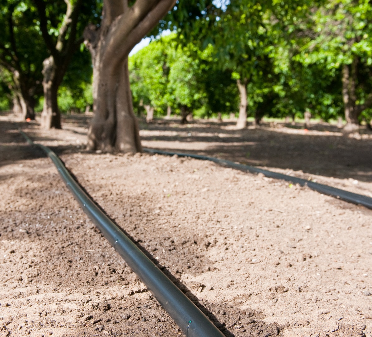 The 6 Key Considerations In Developing Your Irrigation System | Rivulis ...