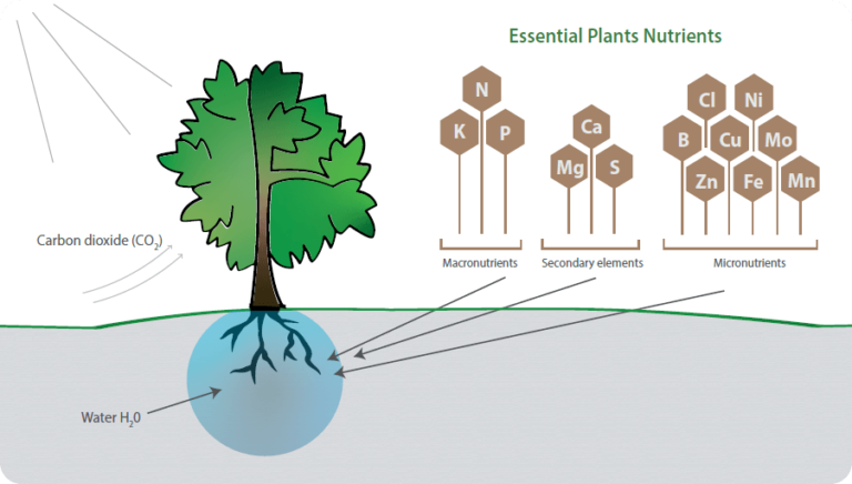 Fertigation & Chemigation | Rivulis Knowledge Hub