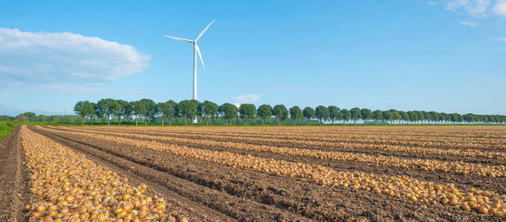 Consideration 2: The Climatic Conditions Of Your Farm | Rivulis Knowledge Hub