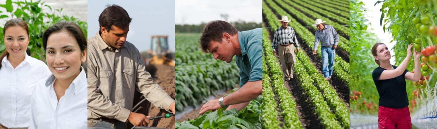 Introduction To Drip Irrigation - The Rivulis Story | Rivulis Knowledge Hub