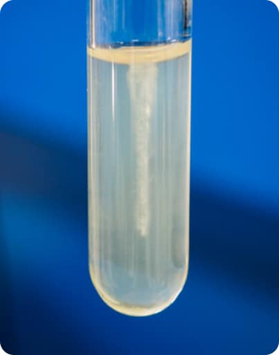 Number 6. Leakage And Clogging Prevention - Clogging Cause ...