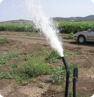 Startup (First Use) - The Flushing Process | Rivulis Knowledge Hub