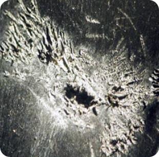 Number 6. Leakage And Clogging Prevention - Leak Cause – Insect Damage ...