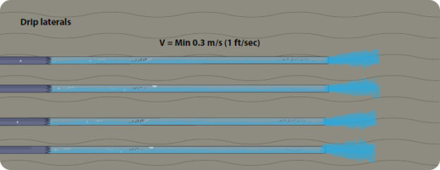 Number 4. Flushing Regime | Rivulis Knowledge Hub
