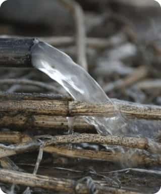 Startup (First Use) - The Flushing Process | Rivulis Knowledge Hub