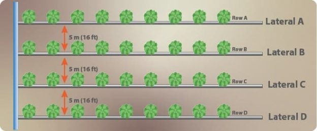 Hydraulic Design - Lateral Spacing (Question 10) | Rivulis Knowledge Hub