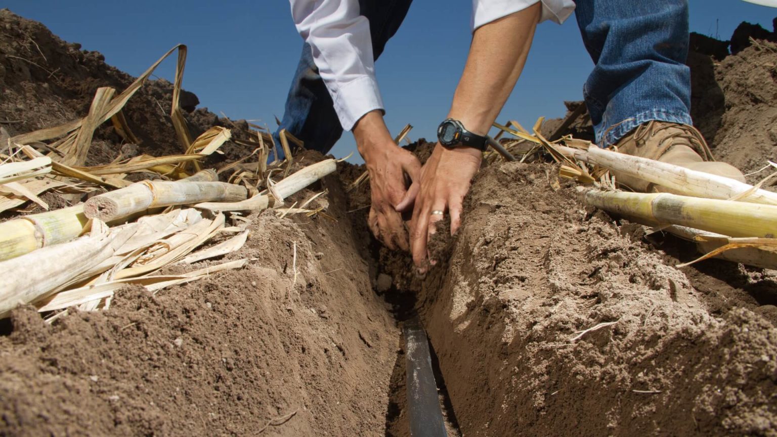Types of Irrigation: A Comprehensive Guide | Rivulis
