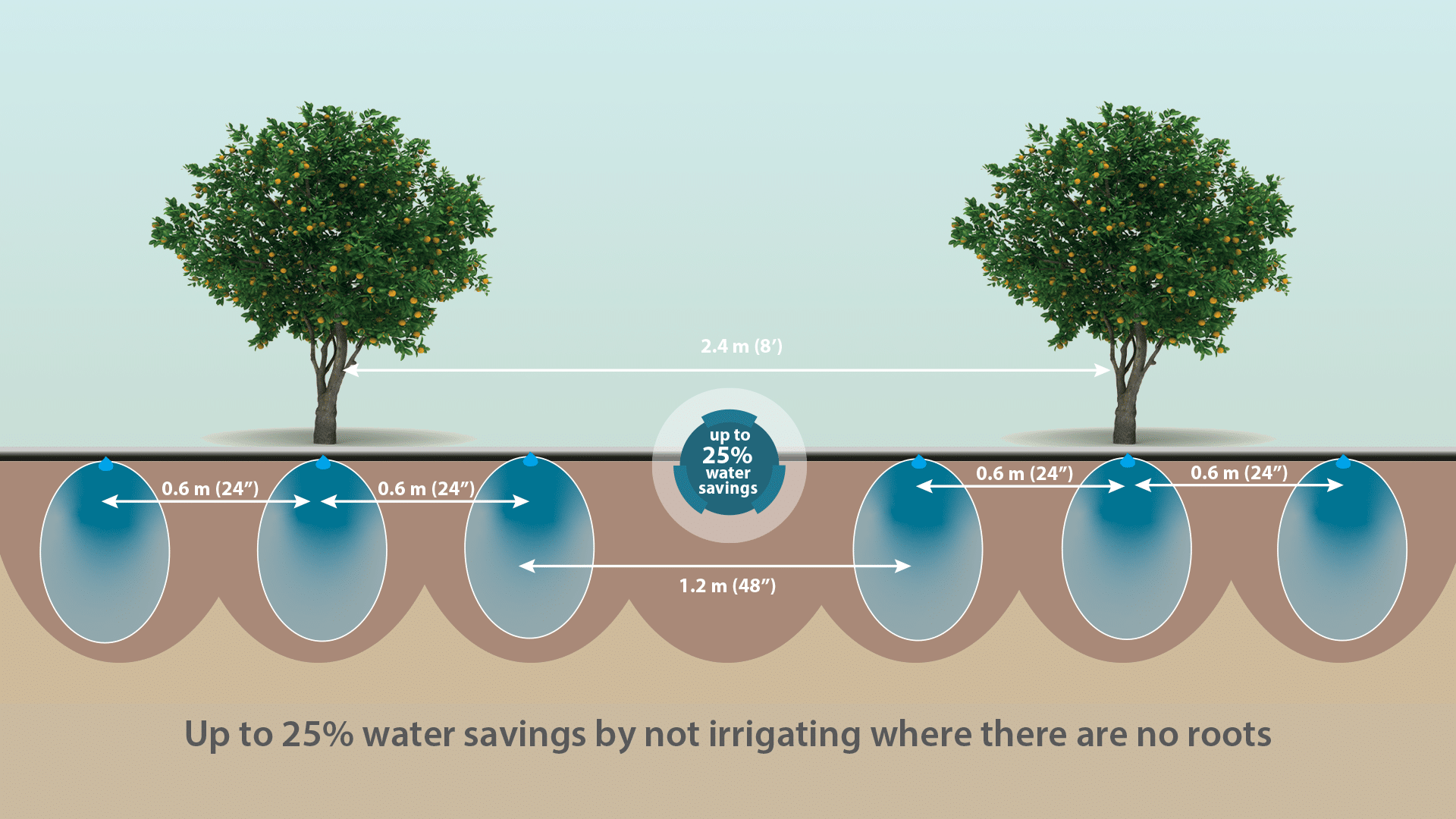 Efficient drip irrigation with skip spacing drip lines
