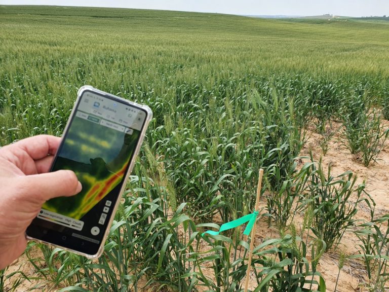 What is an Irrigation System? Types, Design, and Innovations | Rivulis