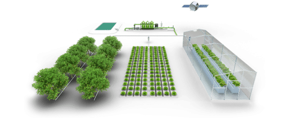 What is an Irrigation System? Types, Design, and Innovations | Rivulis
