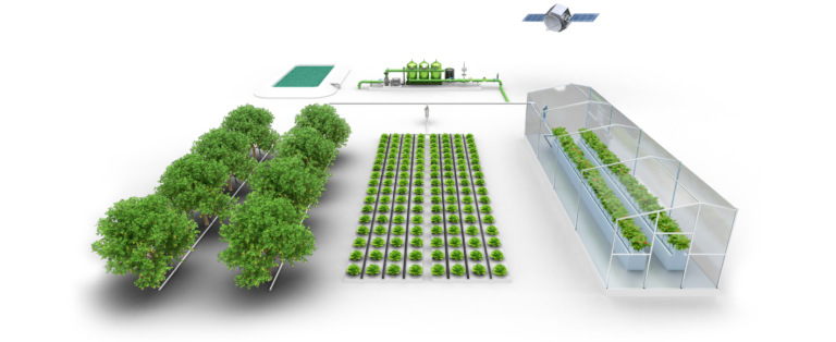 What is an Irrigation System? Types, Design, and Innovations | Rivulis