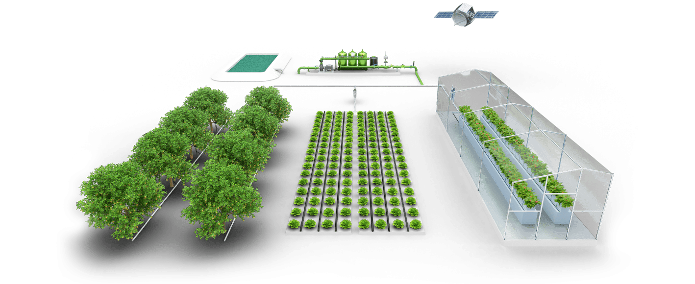 What is an Irrigation System? Types, Design, and Innovations | Rivulis