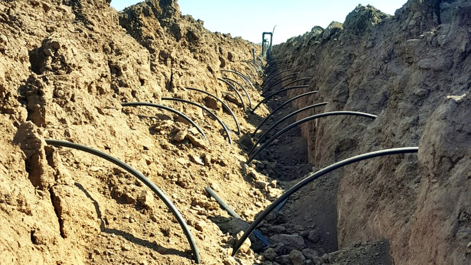 Subsurface Drip Irrigation (SDI): Complete Guide | Rivulis