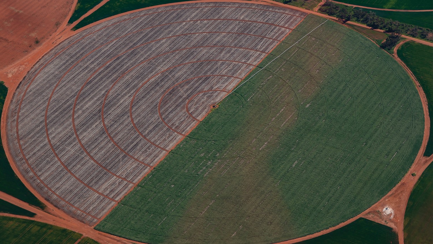 Subsurface Drip Irrigation (SDI): Complete Guide | Rivulis