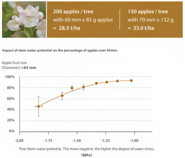 Apples and Pears Crop Irrigation: Best Practices | Rivulis