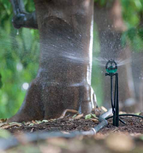 Citrus Trees Irrigation Guide | Rivulis