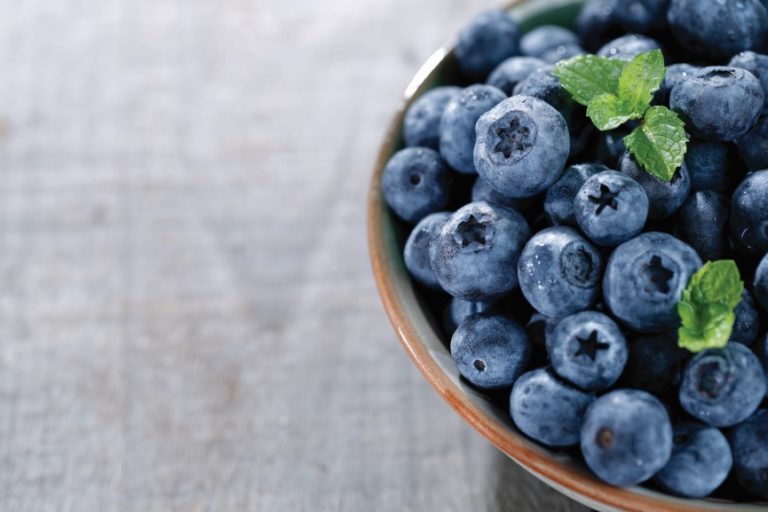 Advanced Soilless Blueberry Farming Techniques | Rivulis