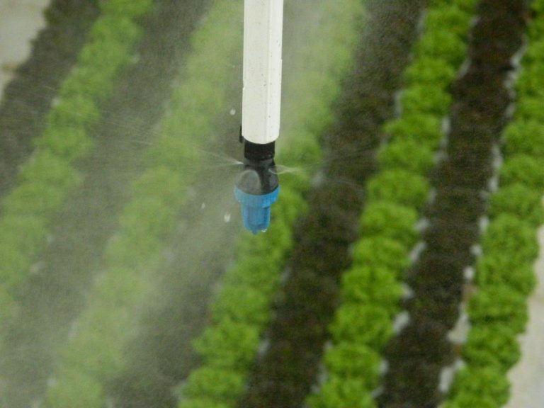 Agriculture Sprinkler Irrigation Systems - Types and Benefits