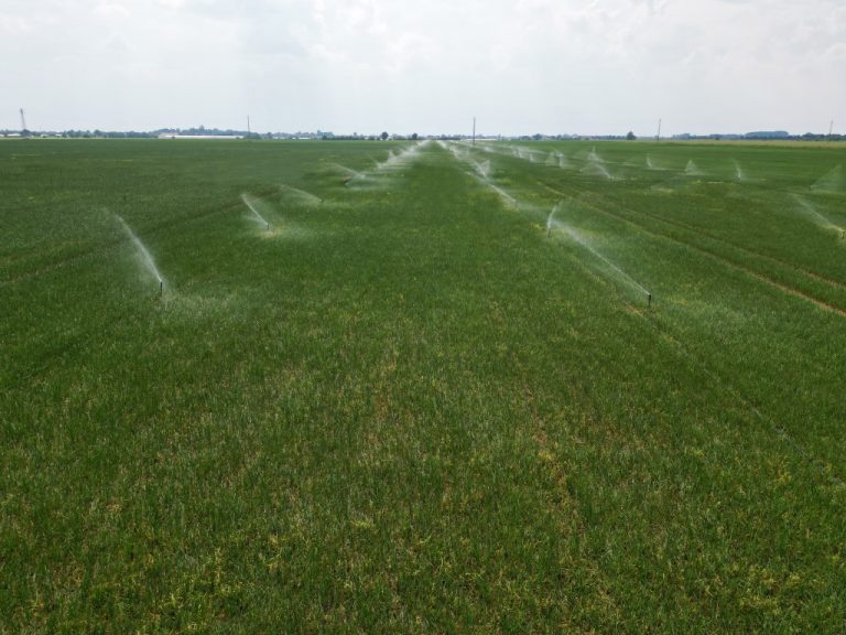 Agriculture Sprinkler Irrigation Systems - Types and Benefits